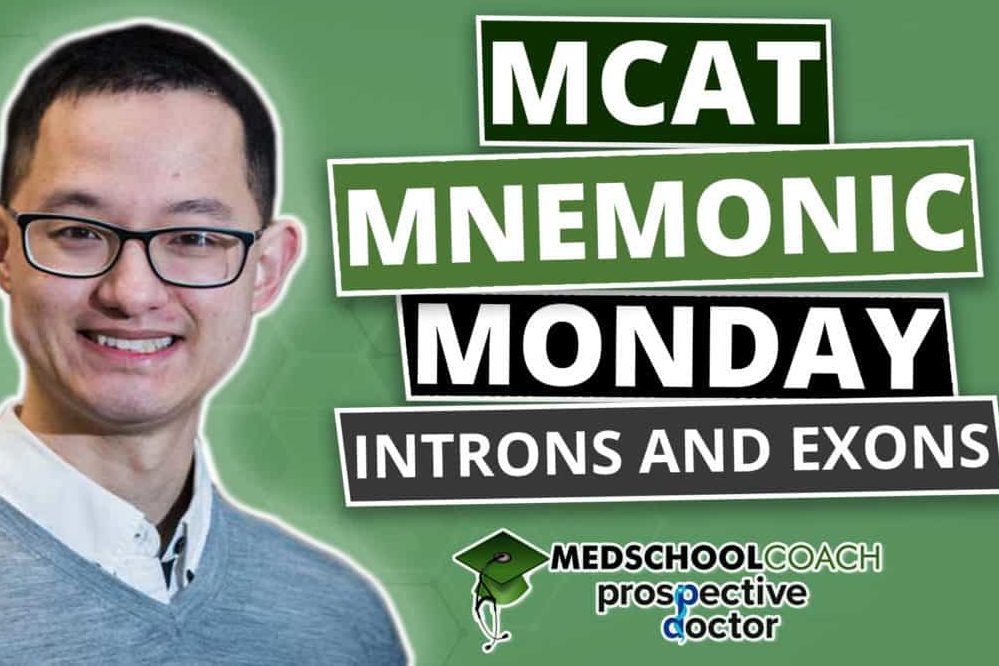 MCAT Mnemonics: Introns and Exons | ProspectiveDoctor